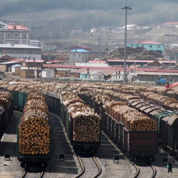 NYT: Chinese Demand for Lumber Overwhelms Russian Forests - Ethical ...